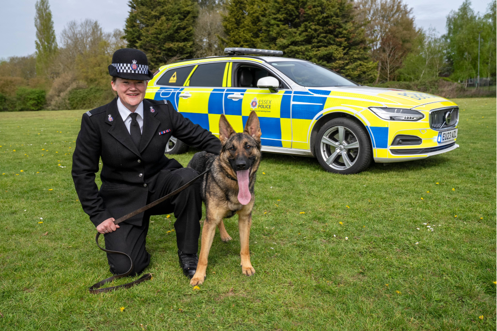 Ready, set, sniff: four new police dogs join the team | Essex Police