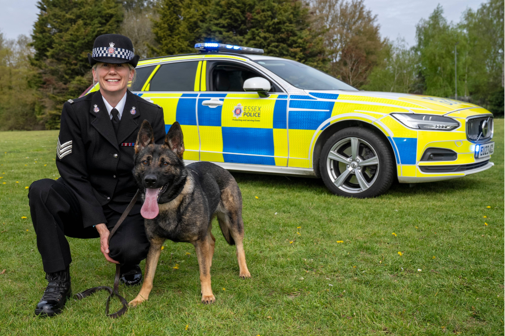 Ready, set, sniff: four new police dogs join the team | Essex Police