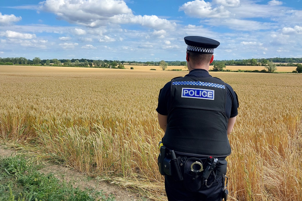 Ongar: Two people have died following plane crash | Essex Police